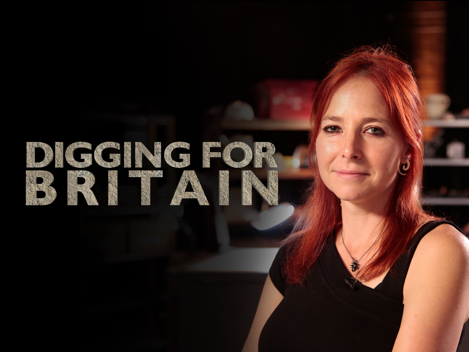 Prime Video: Digging for Britain - Series 2