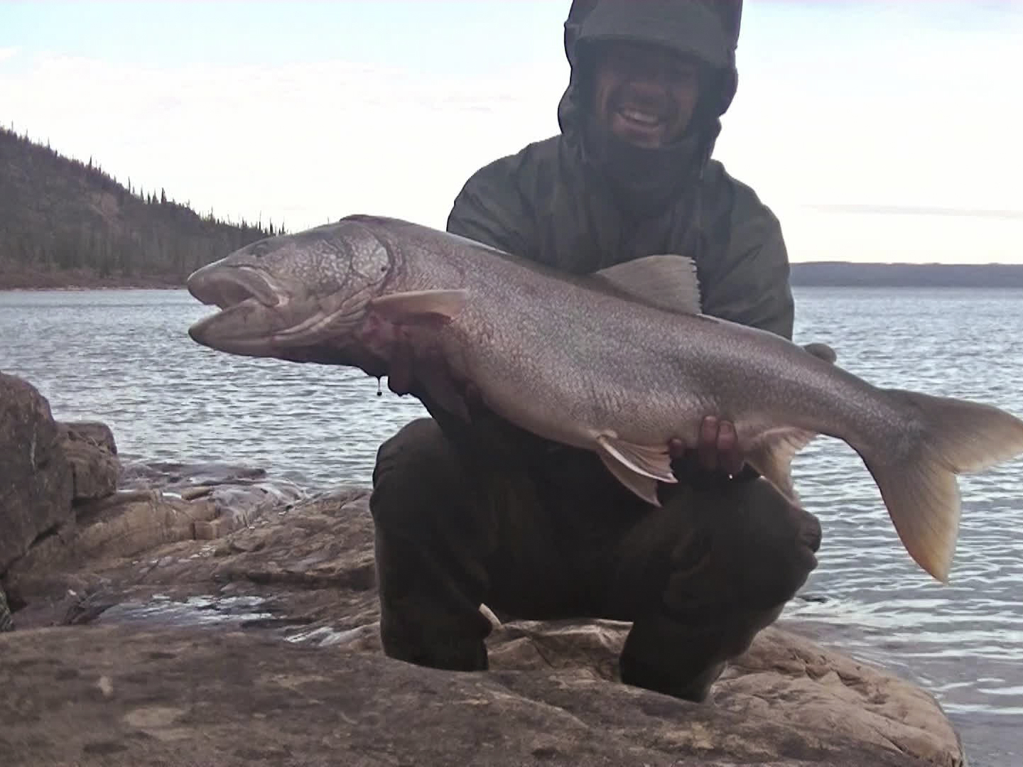 Prime Video: Alone - Season 7