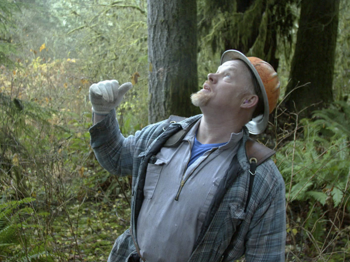 Prime Video: Ax Men - Season 10