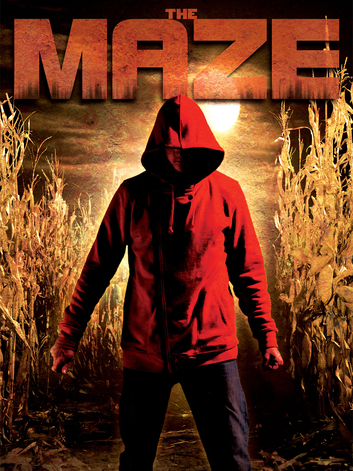 Prime Video: The Maze
