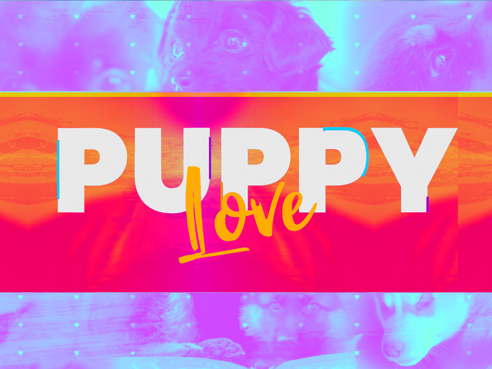 Prime Video: Puppy Love