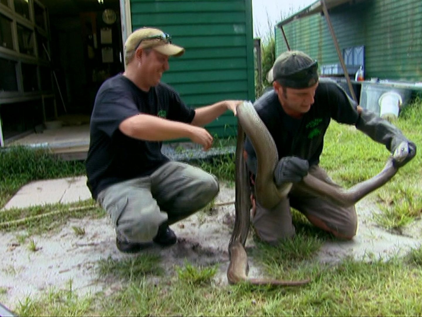 Prime Video: Swamp Brothers - Season 1