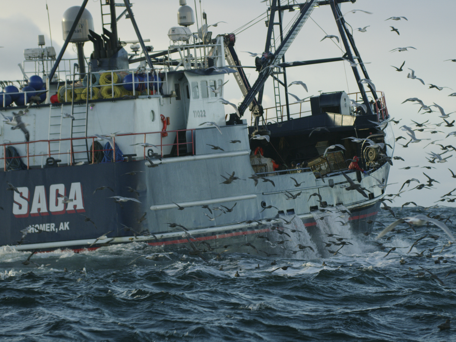 Prime Video: Deadliest Catch - Season 14