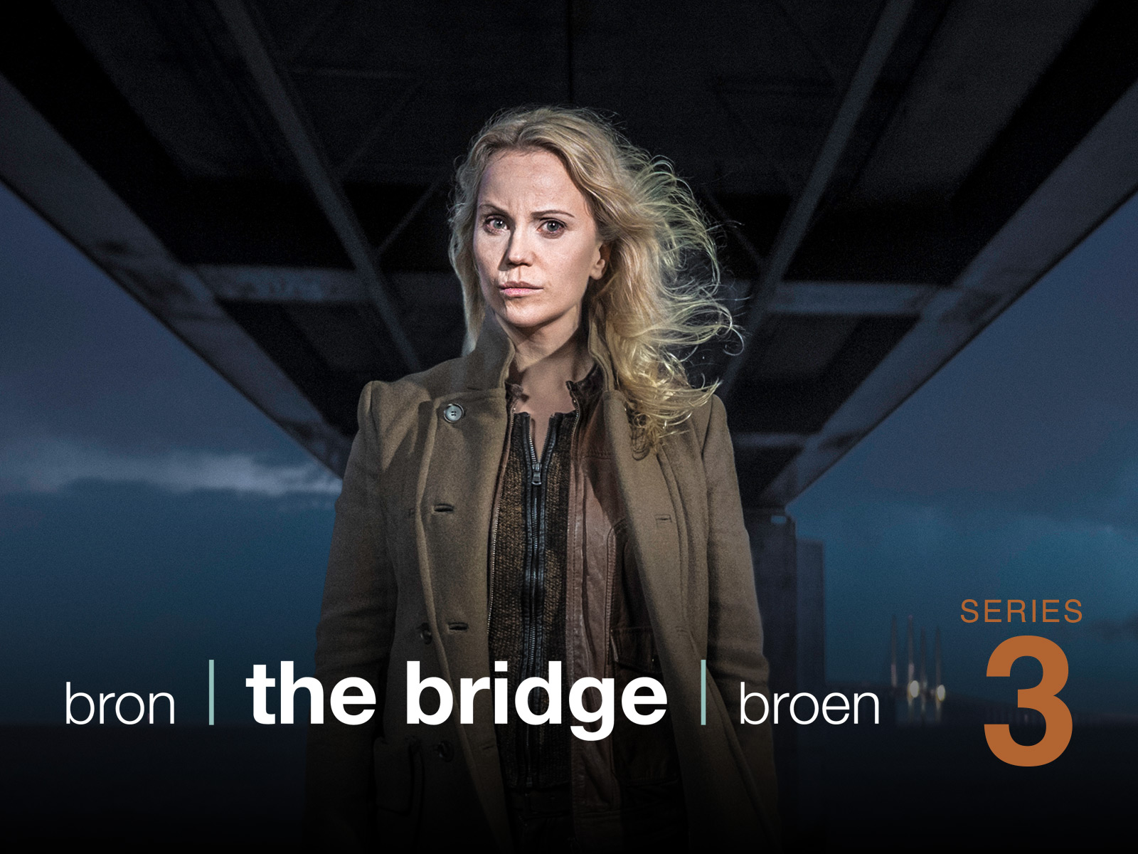 Prime Video: The Bridge (English subtitled)