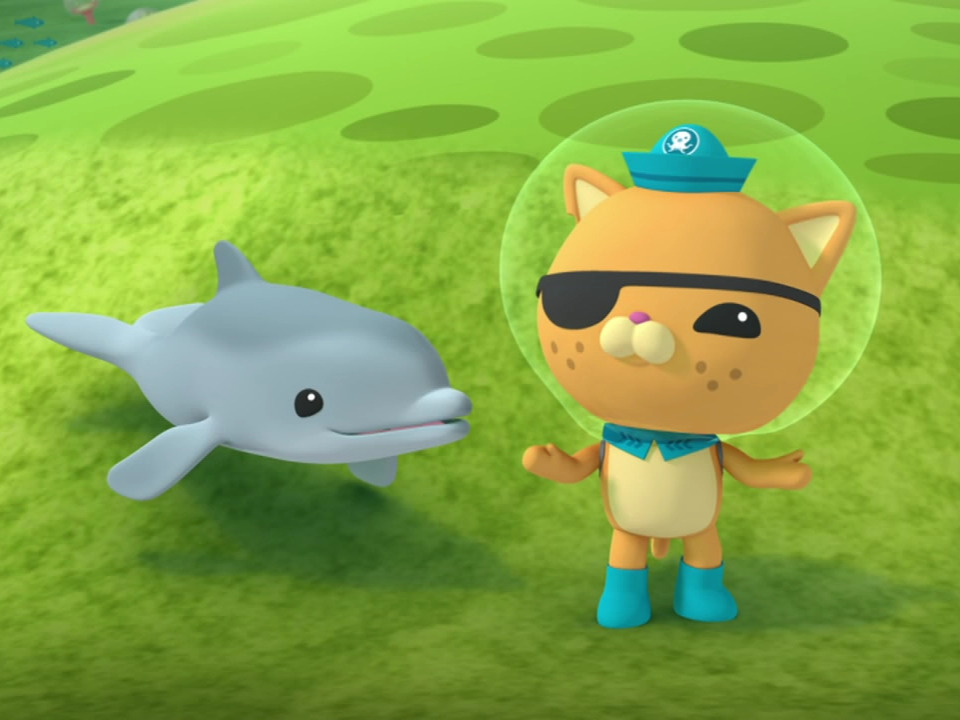 Prime Video: Octonauts : Sound The Octo-Alert - Season 1
