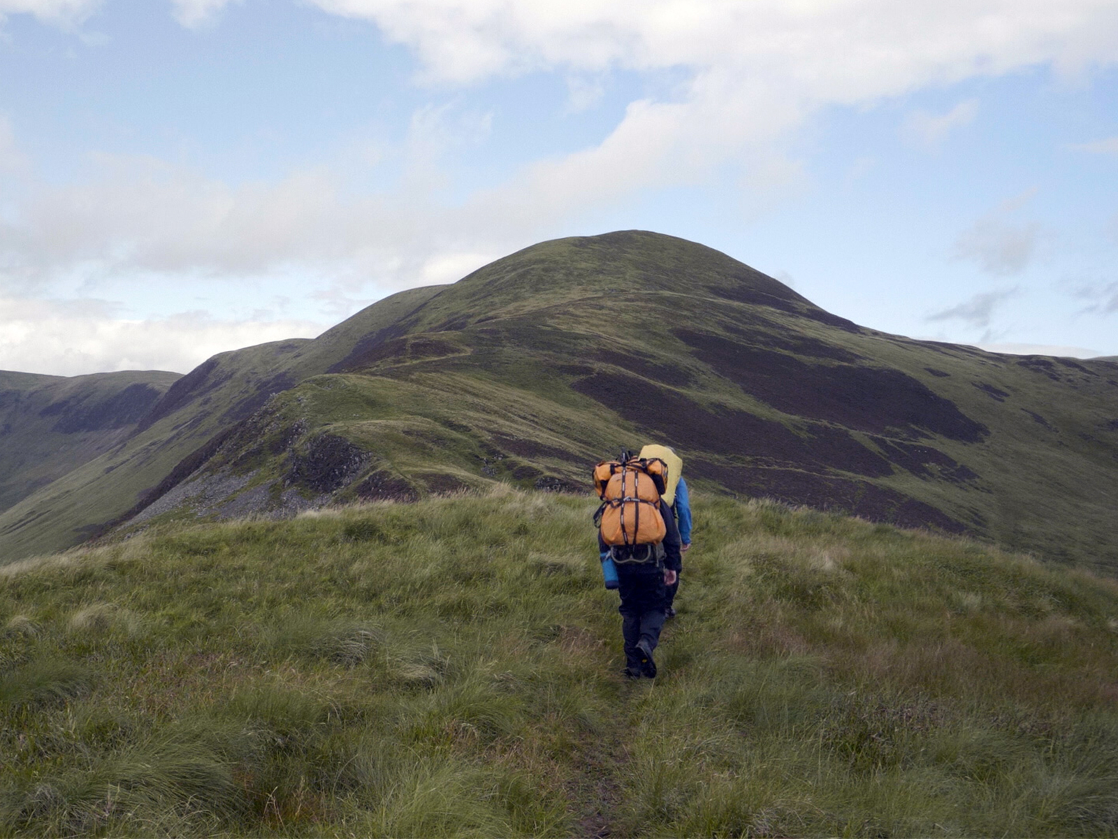 Prime Video: Roaming in the Wild