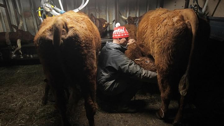 Amazon.com: Masters of cheese : Eric Bacos, Eric Bacos, Jean Dufour ...