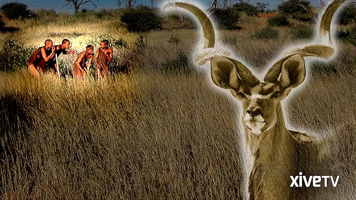 Watch The Great Dance: A Hunter's Story | Prime Video