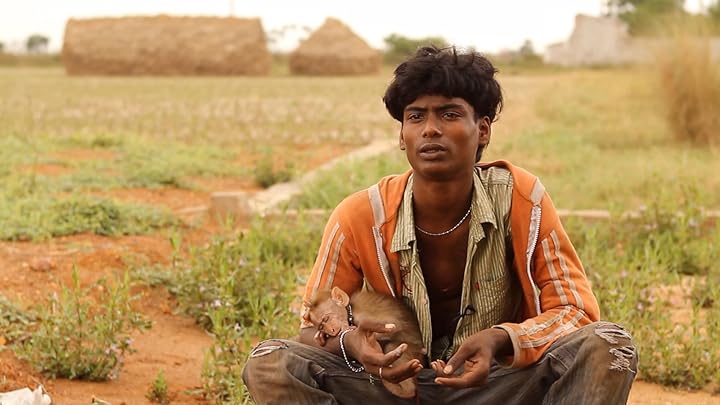 Amazon.com: Mother India : David Trotter, Shawn Scheinoha, Noah ...