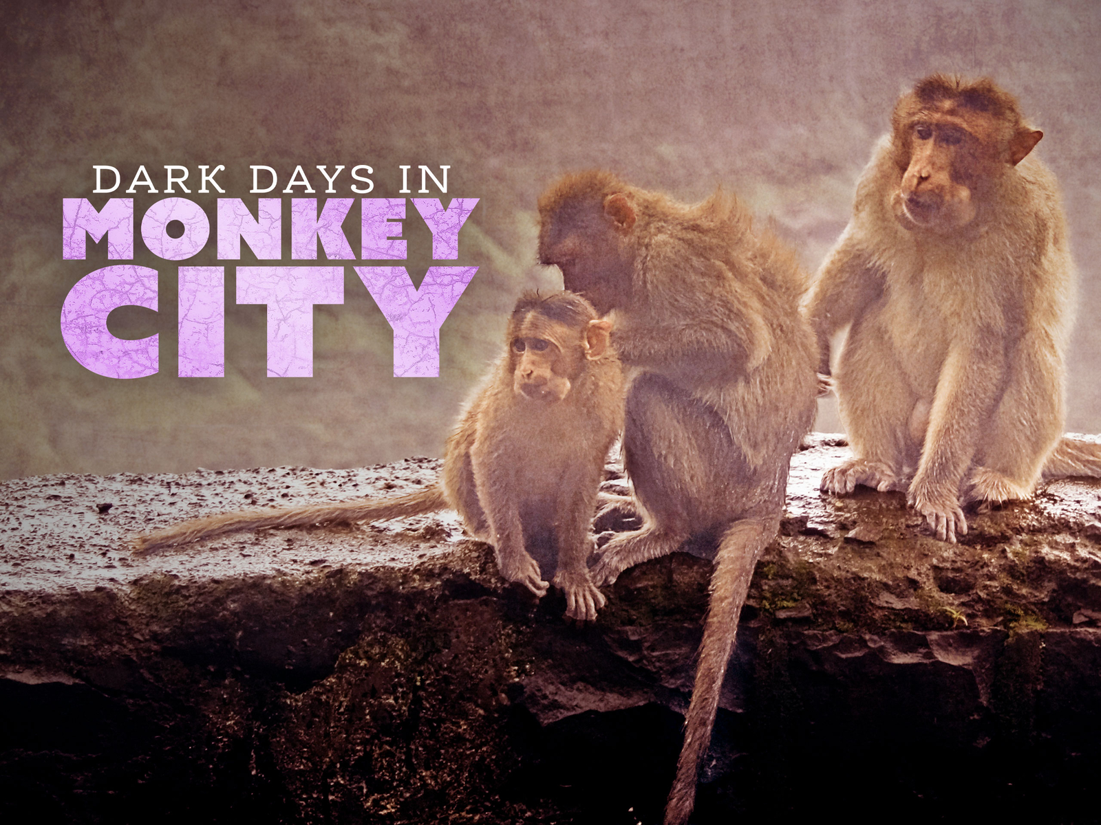Prime Video: Dark Days in Monkey City - Season 1