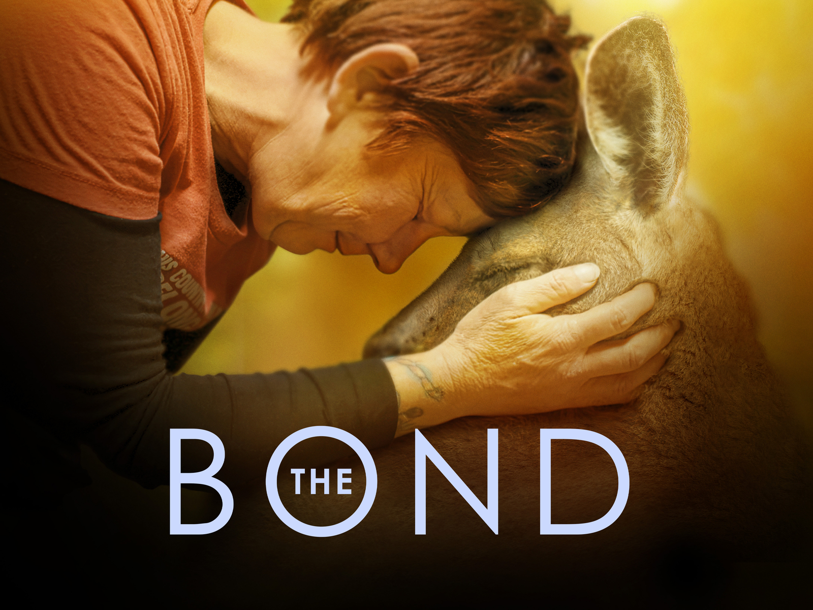 Prime Video: The Bond - Season 1