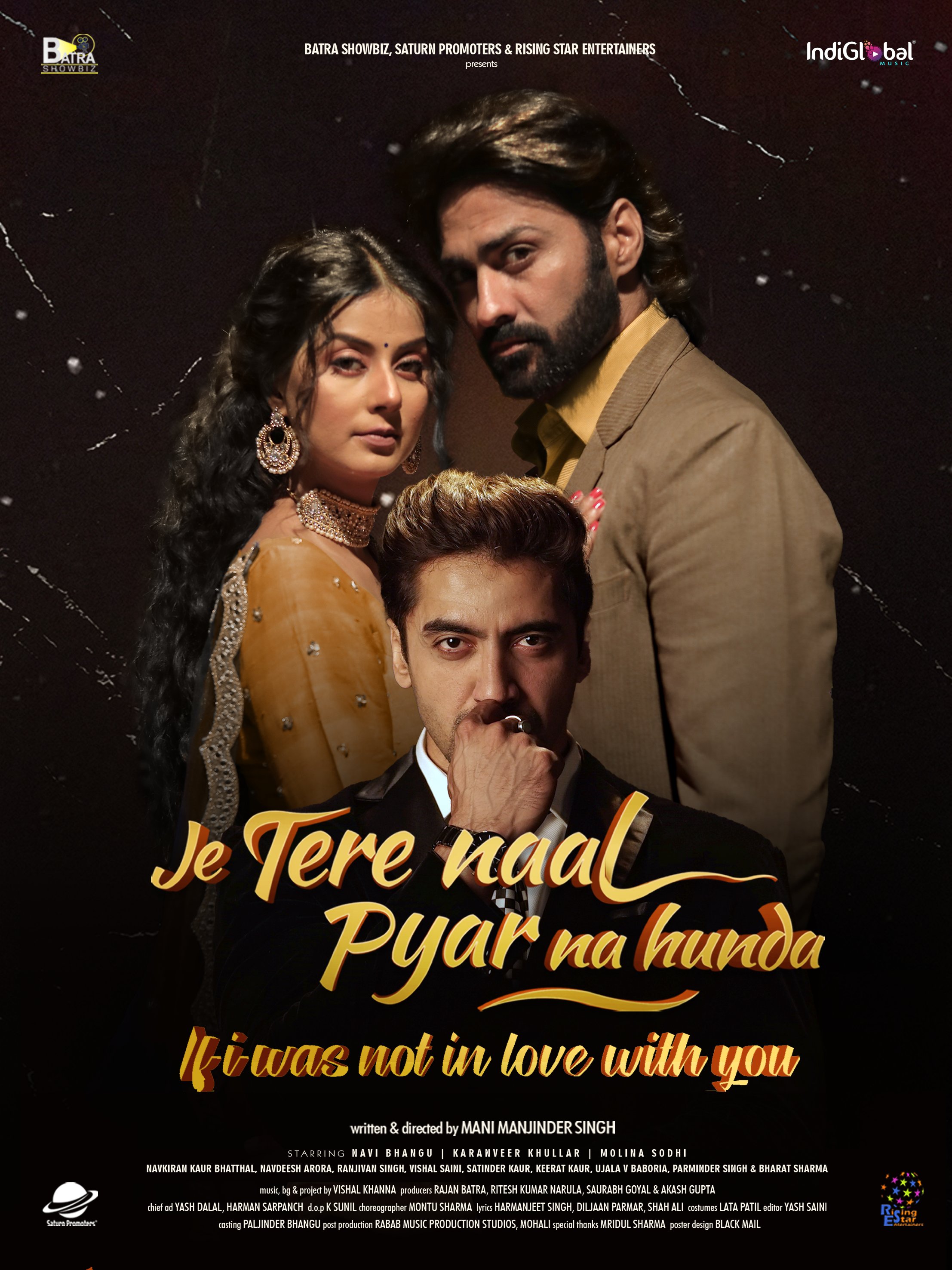 Prime Video: Je Tere Naal Pyar Na Hunda (If I was not in love with you)