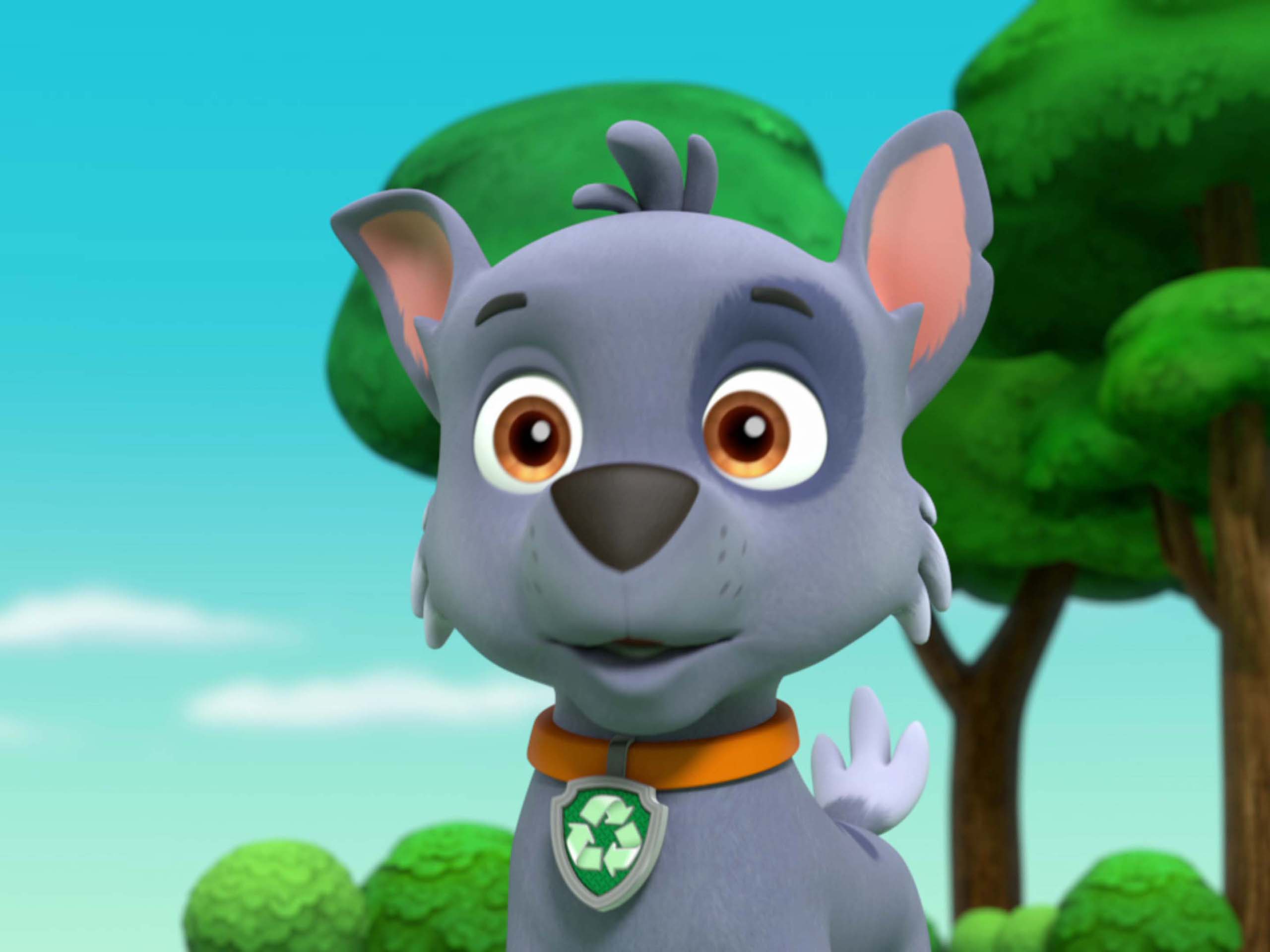 Prime Video: Paw Patrol Season 4