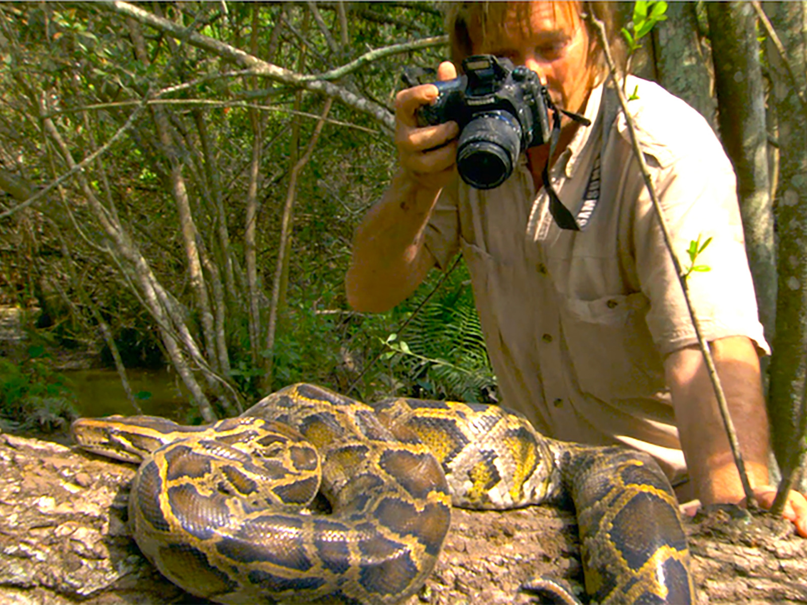 Prime Video: Austin Stevens Adventures