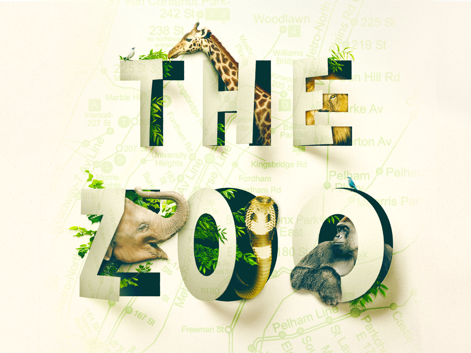 Prime Video: The Zoo - Season 1