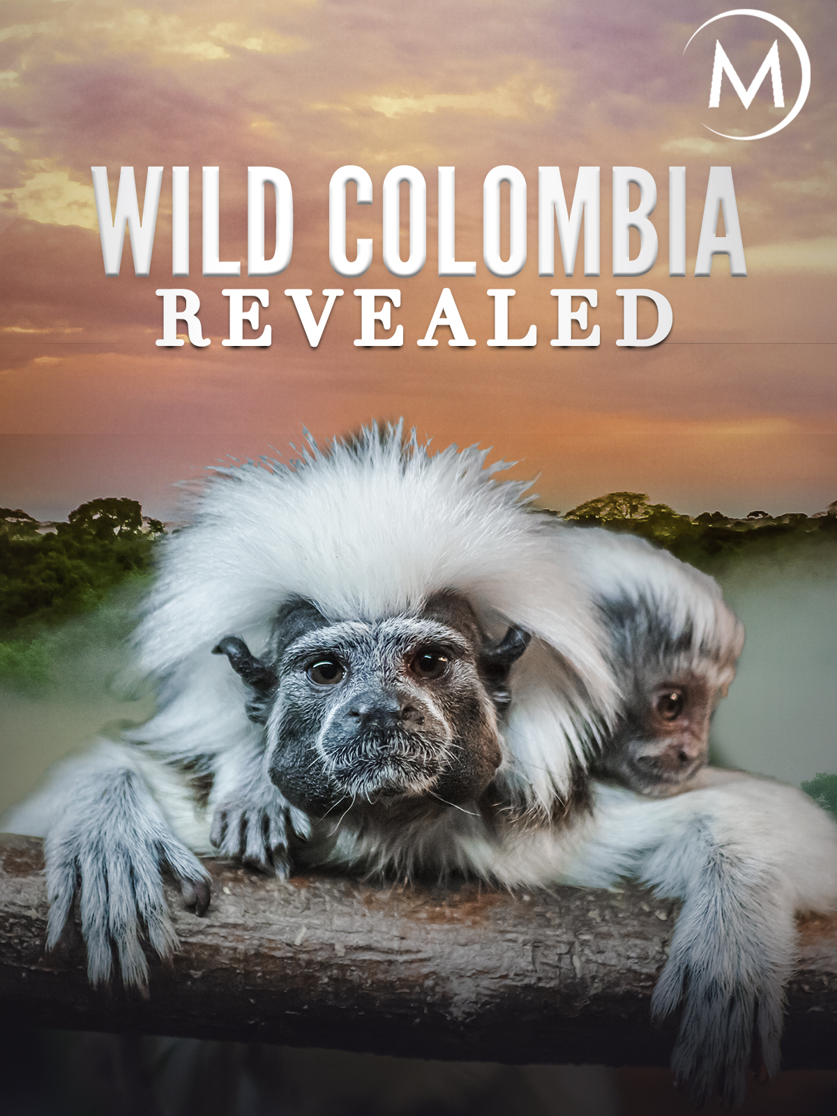 Prime Video: Wild Colombia Revealed