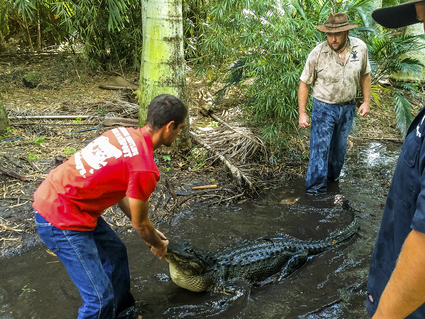 Scott Cohen Gator Boys