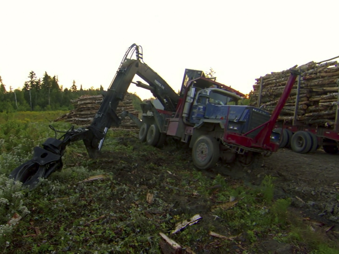 Prime Video: American Loggers - Season 1