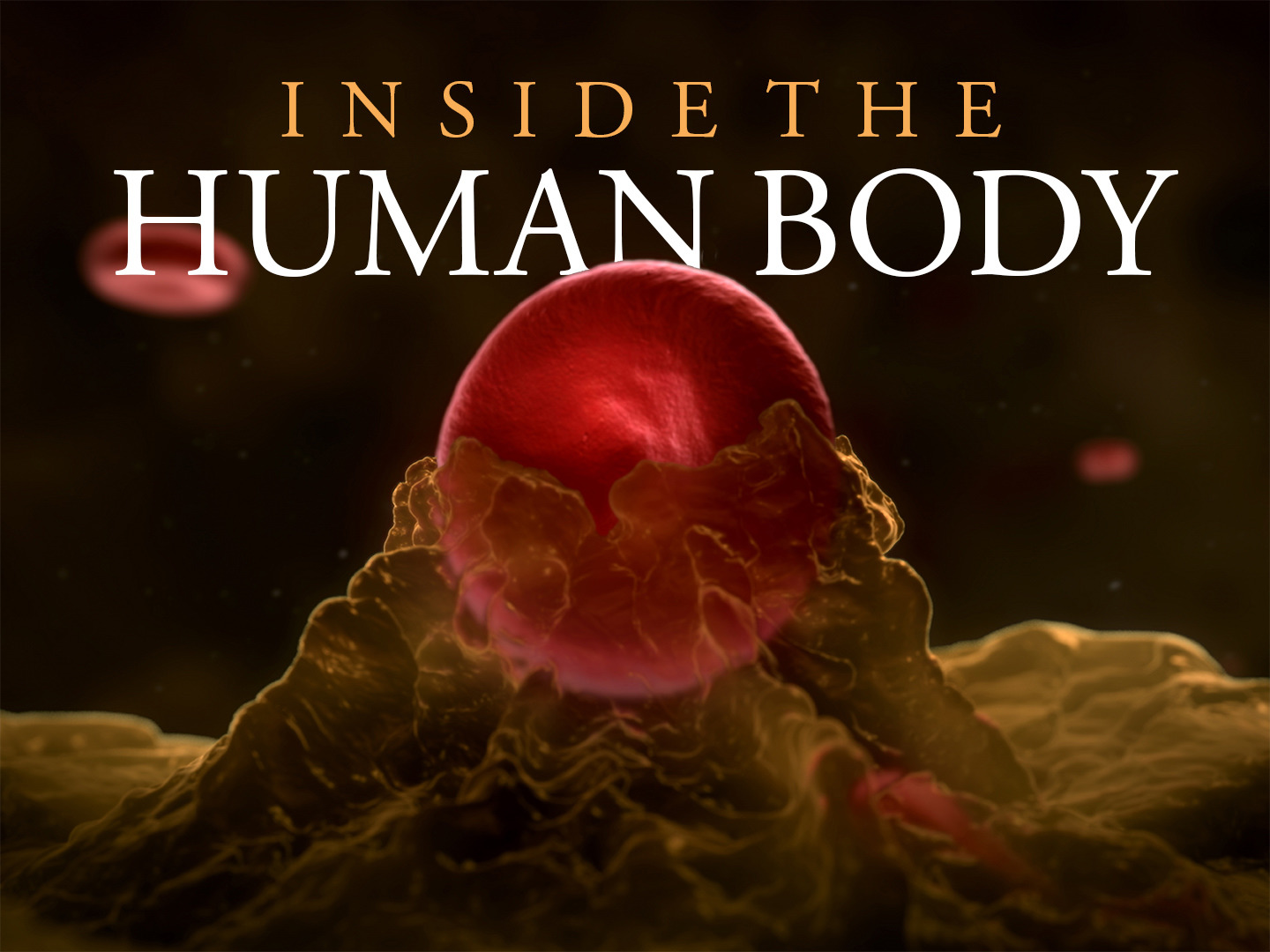 Prime Video: Inside the Human Body - Season 1