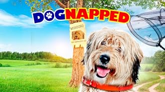 Asher Lindgren: Movies, TV, and Bio