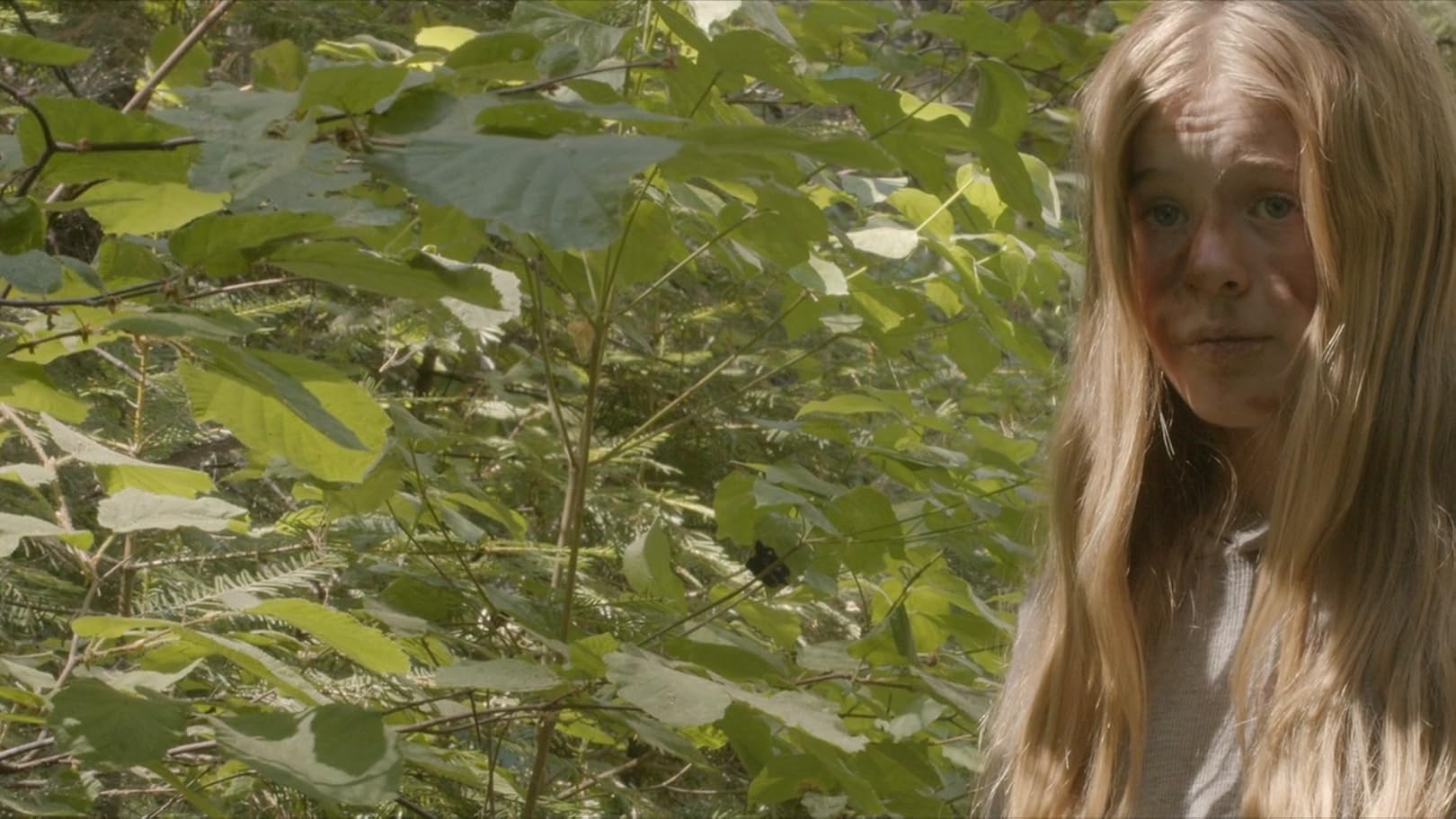 Watch The Girl on the Mountain | Prime Video