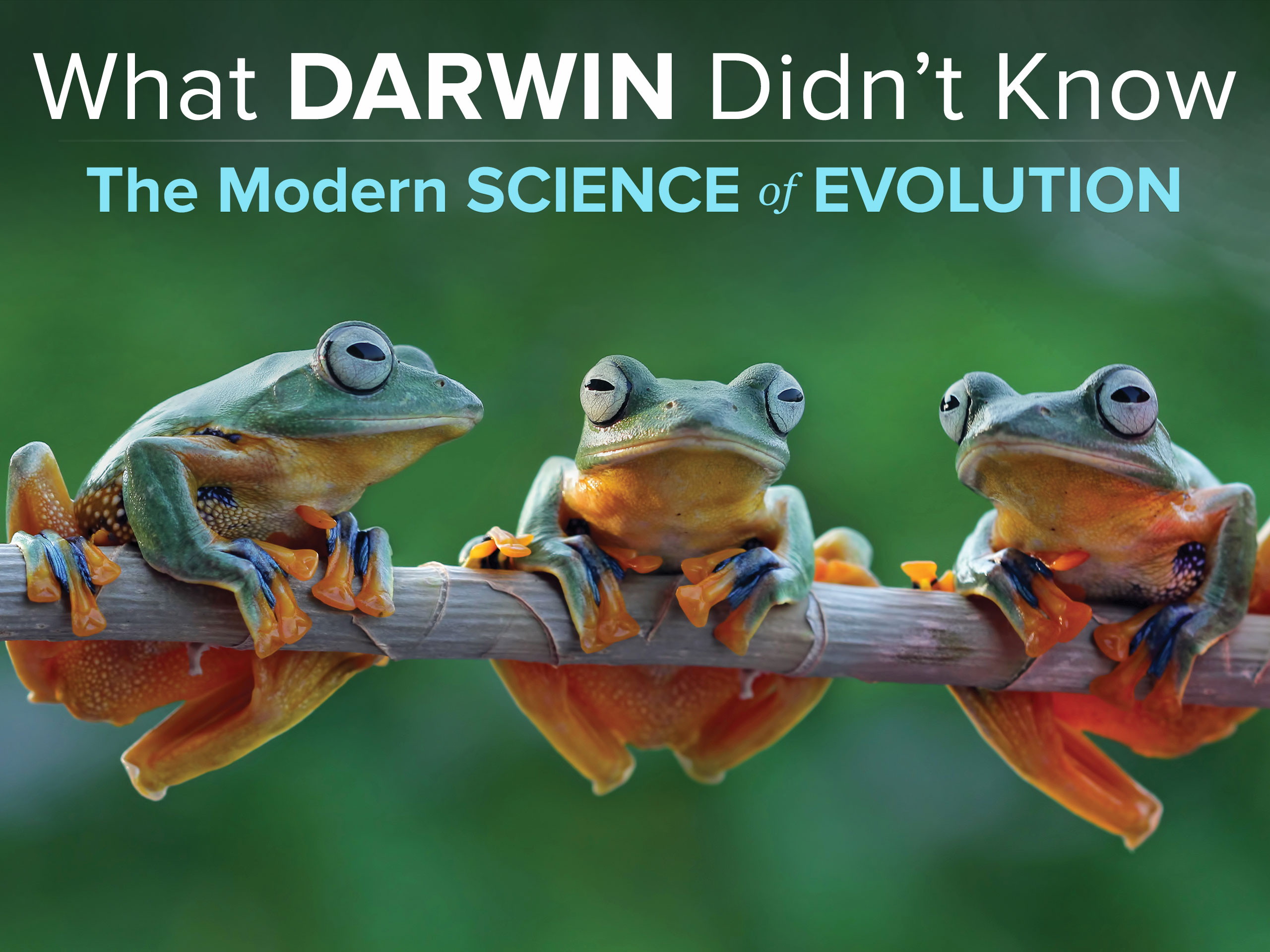Prime Video: What Darwin Didn't Know: The Modern Science of Evolution
