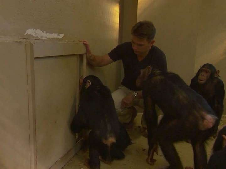 Prime Video: Escape to Chimp Eden - Season 2