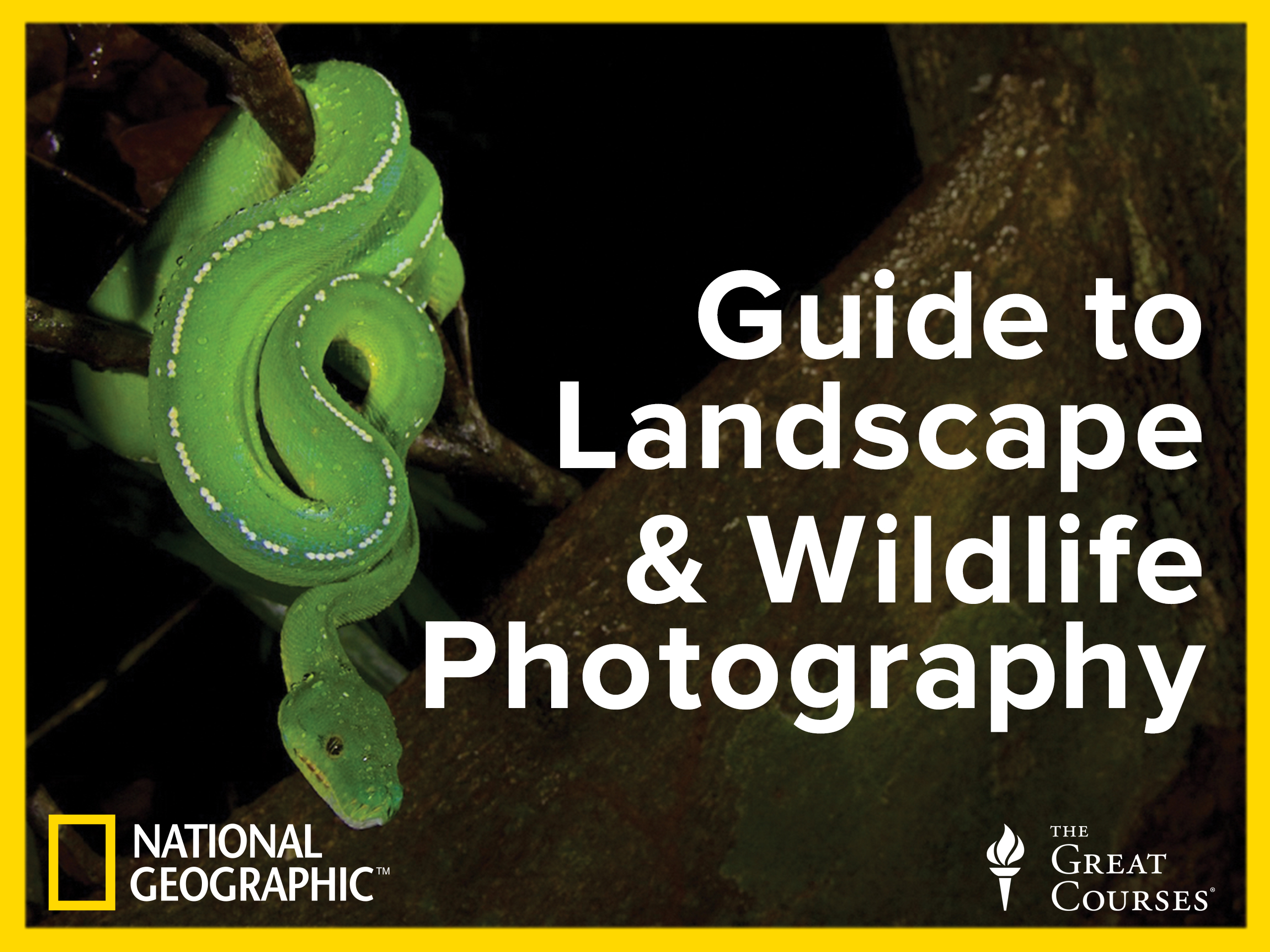 Prime Video: The National Geographic Guide to Landscape and Wildlife ...