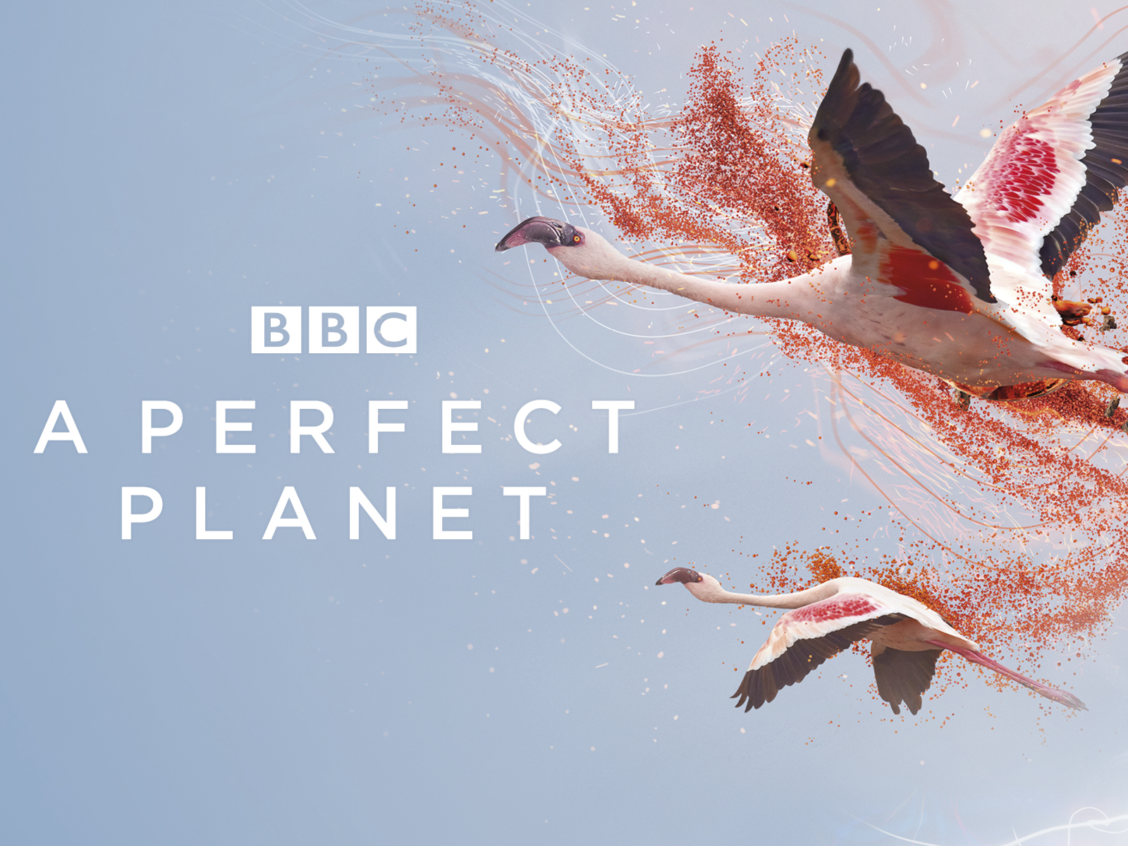 Prime Video: A Perfect Planet, Season 1