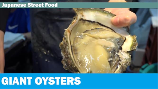 Oysters In Japan