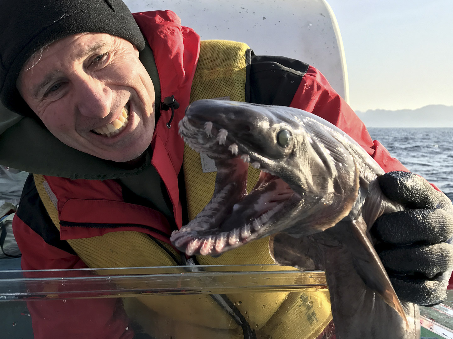 Prime Video: Shark Week - Season 2017