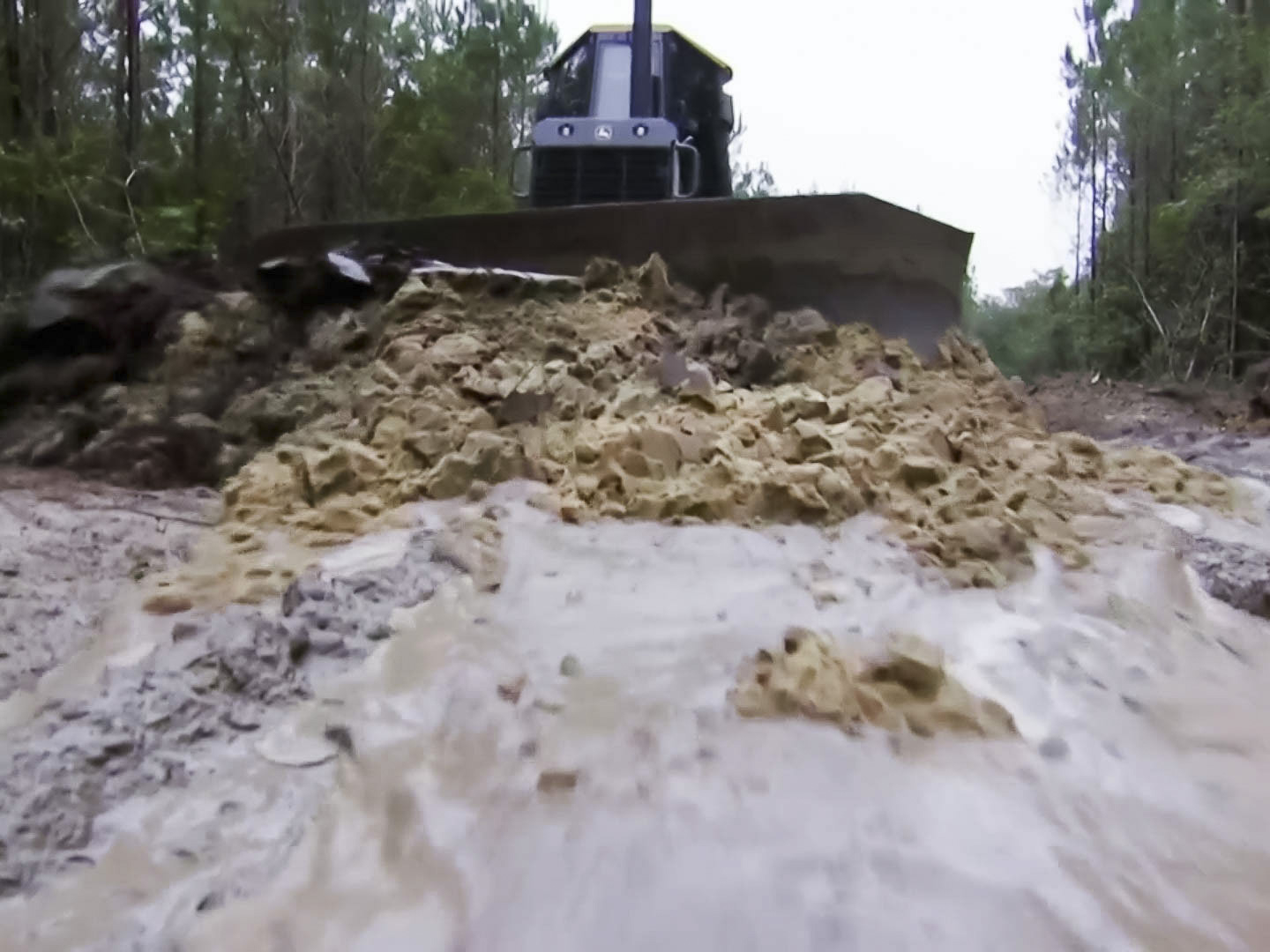 Prime Video: Swamp Loggers - Season 1