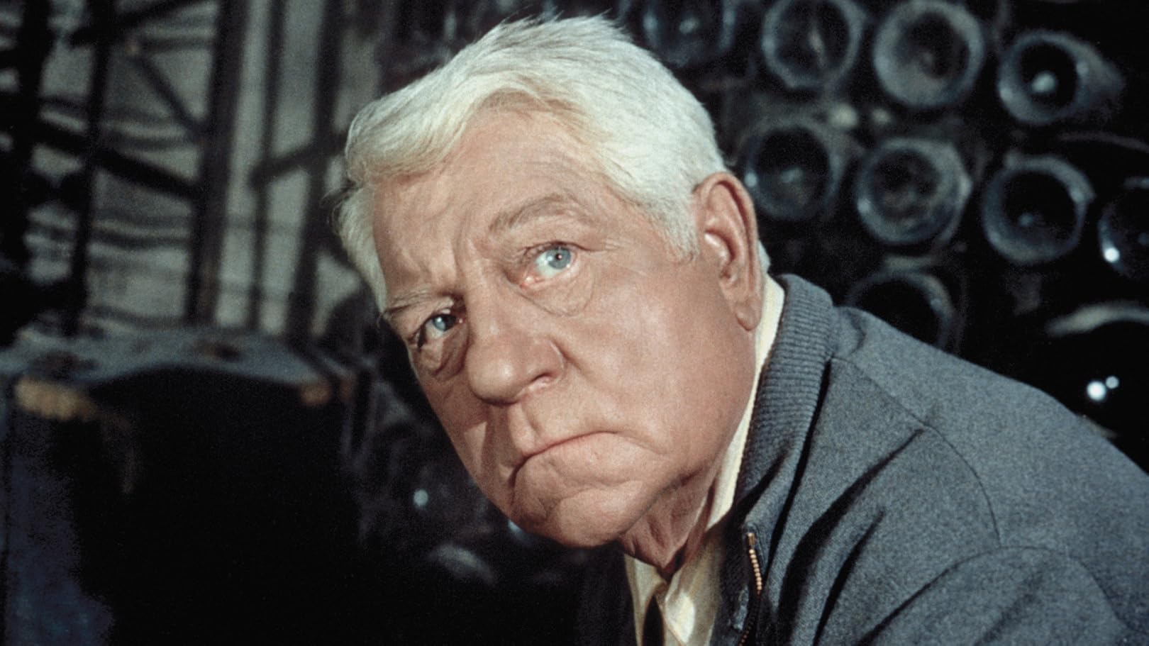 Prime Video: Le Chat