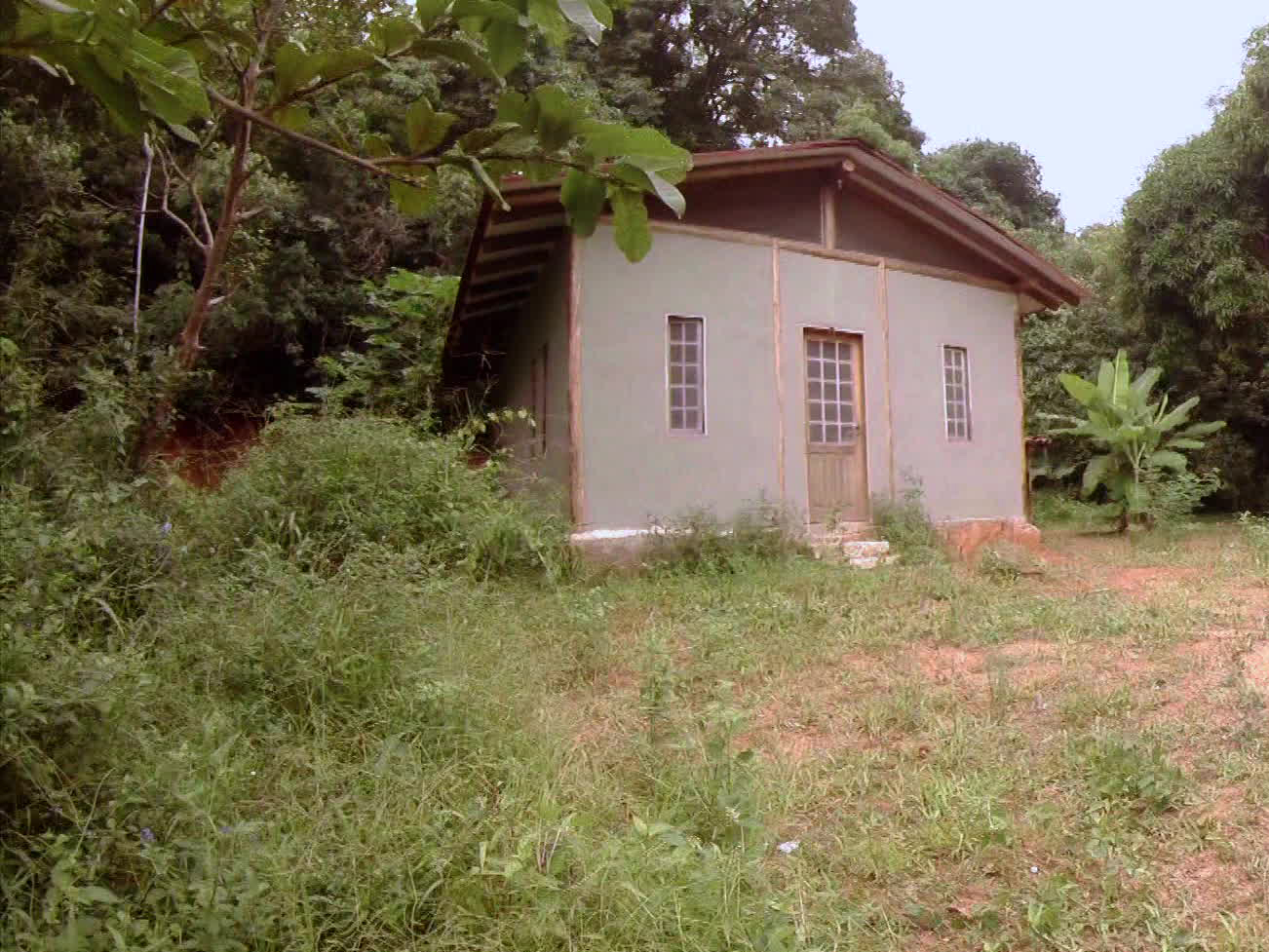 Prime Video: Treasure Quest: Snake Island - Season 1