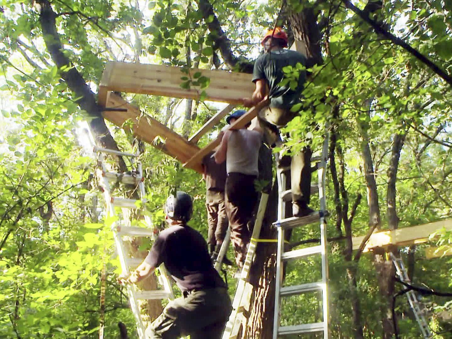 Prime Video: Treehouse Masters - Season 5