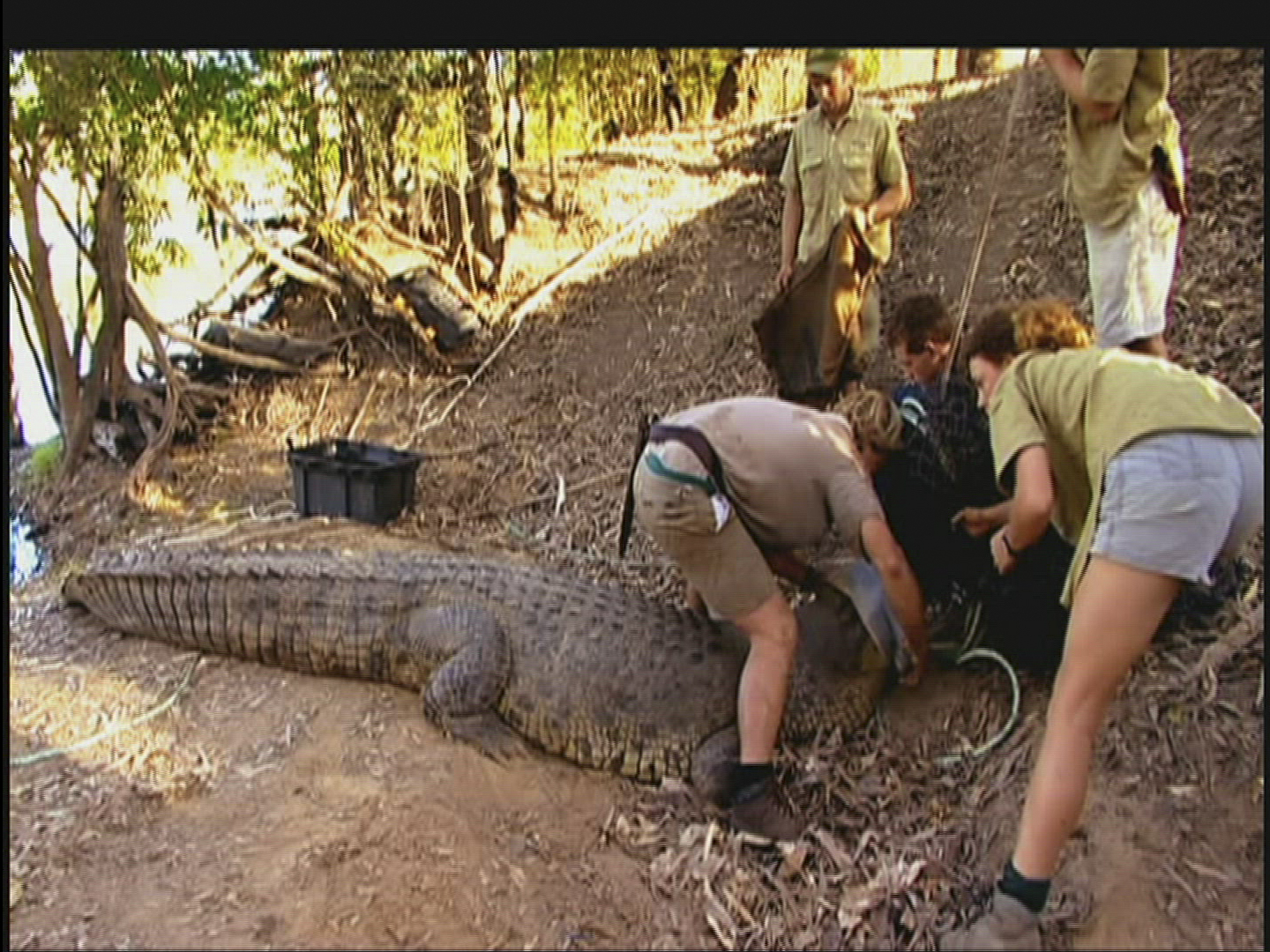 Prime Video: Crocodile Hunter Diaries - Season 3