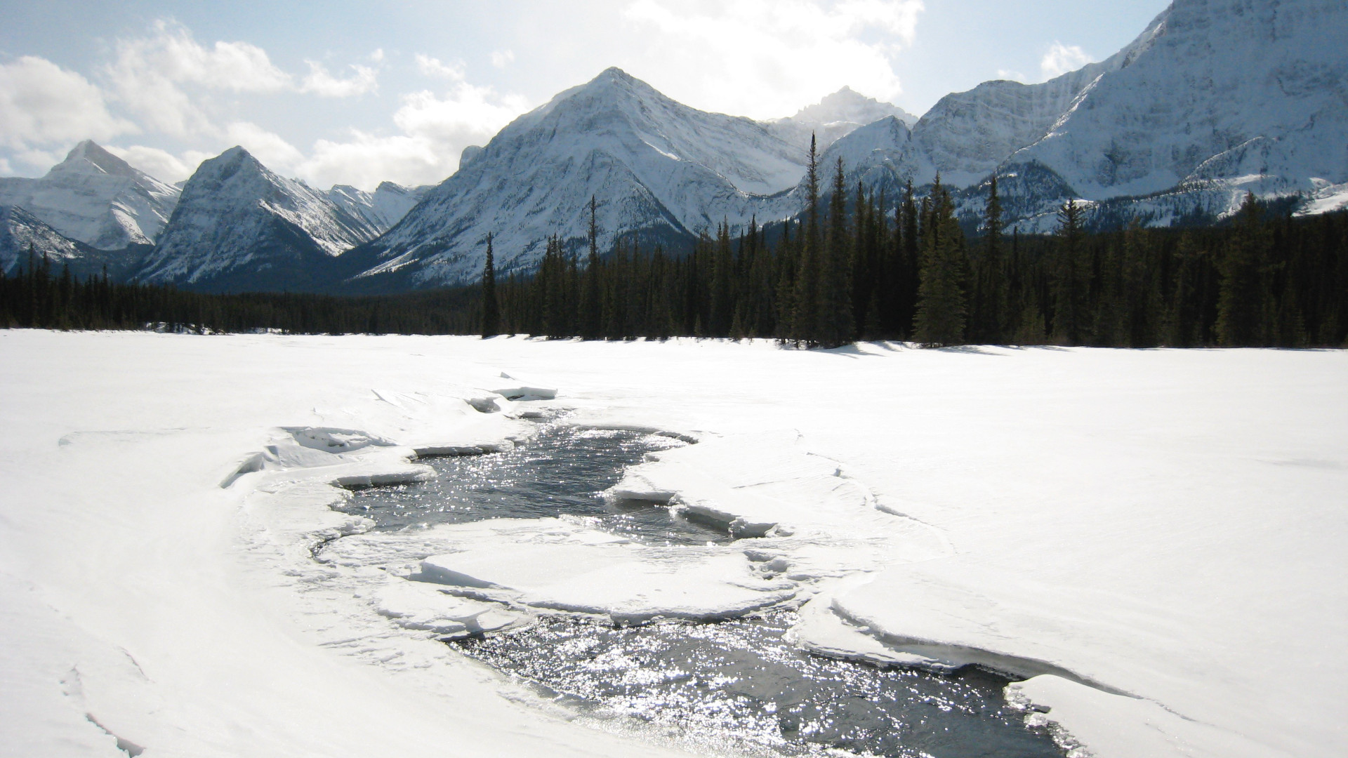 Prime Video: Shadows of David Thompson