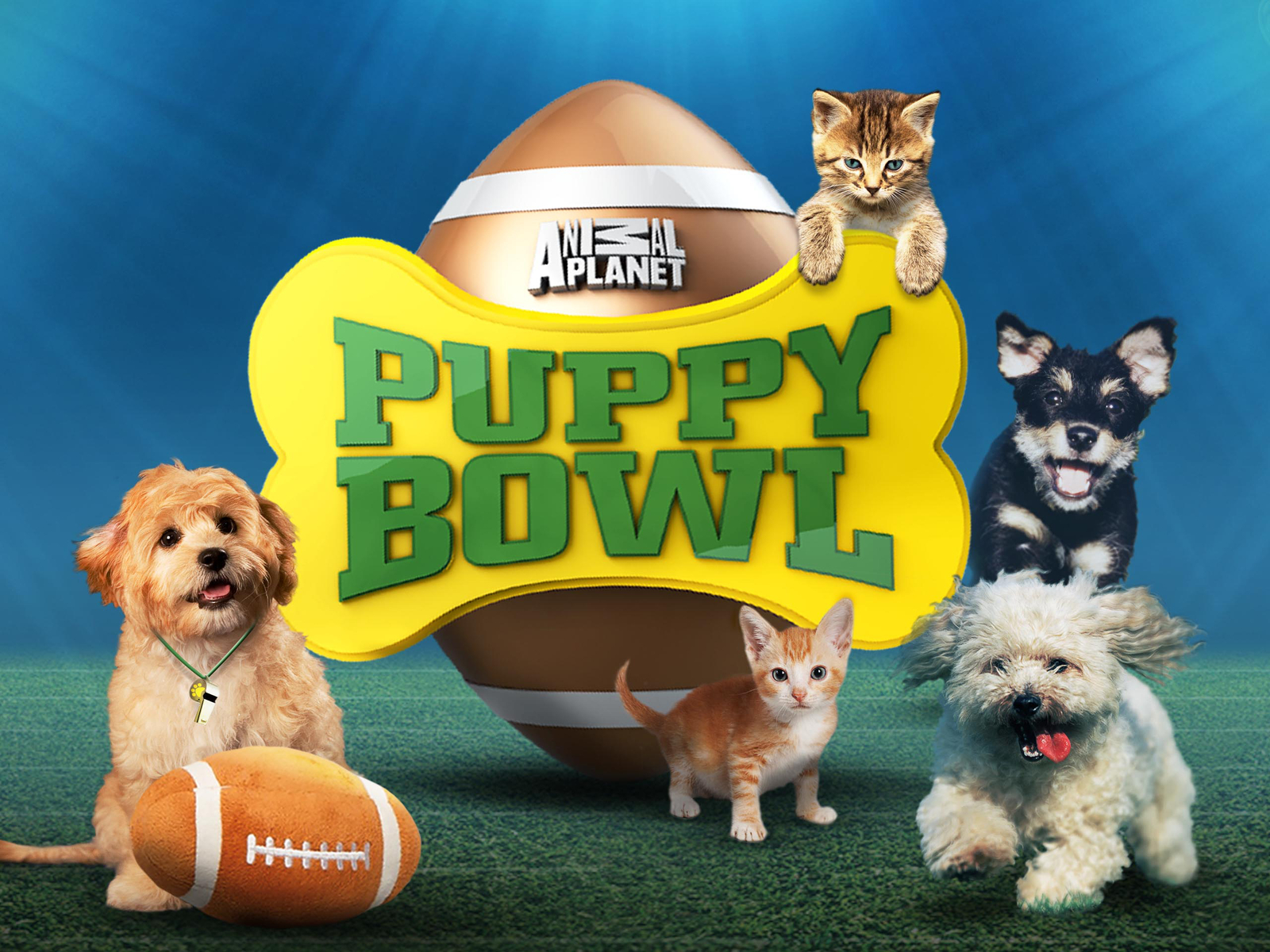 Puppy Bowl Xi Logo