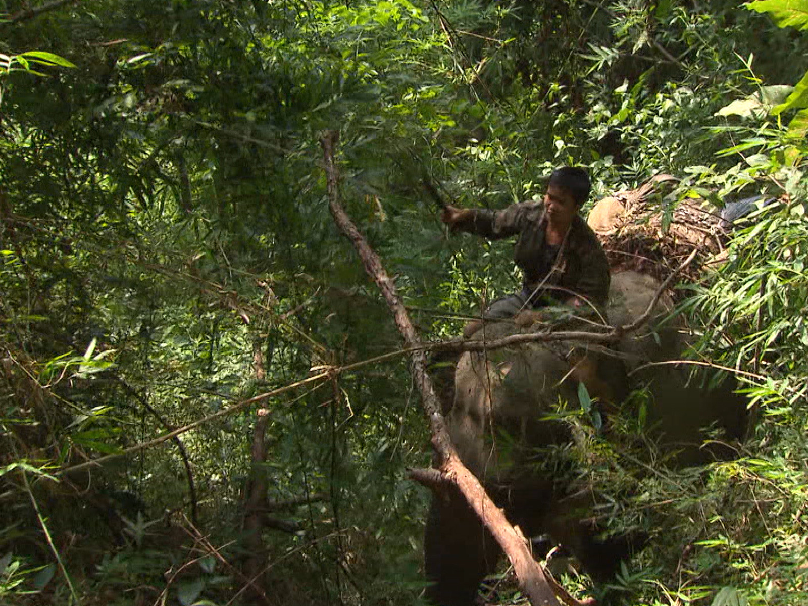 Prime Video: Deadliest Journeys