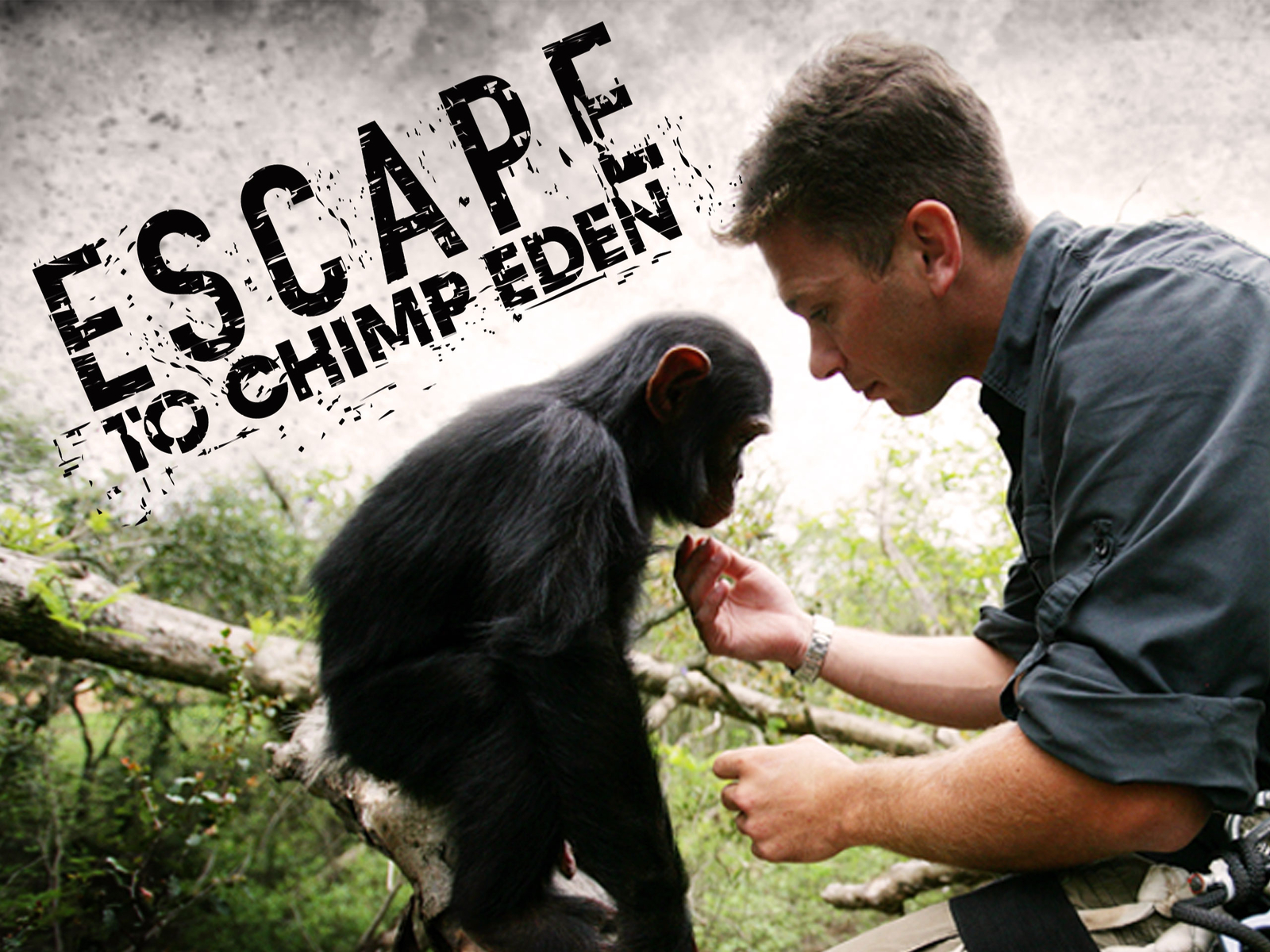 Prime Video: Escape to Chimp Eden - Season 2