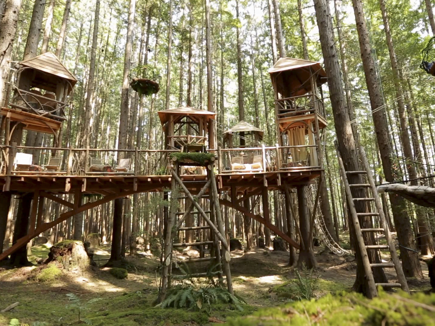 Prime Video: Treehouse Masters - Season 11