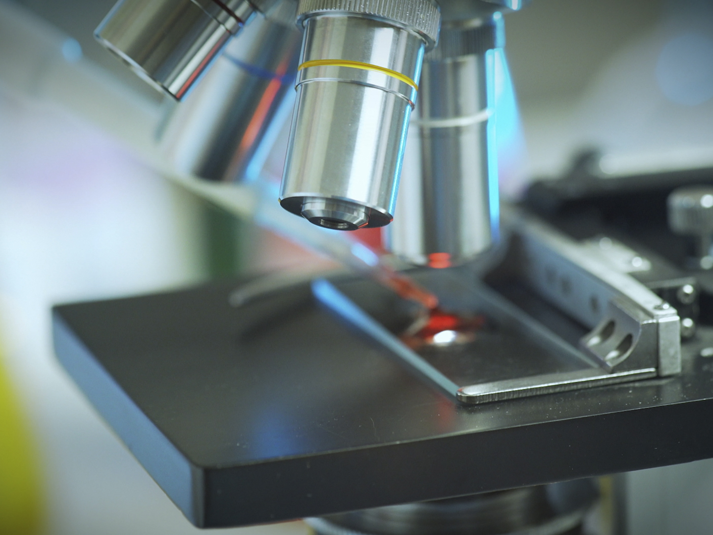 Prime Video: Forensic Files II - Season 1