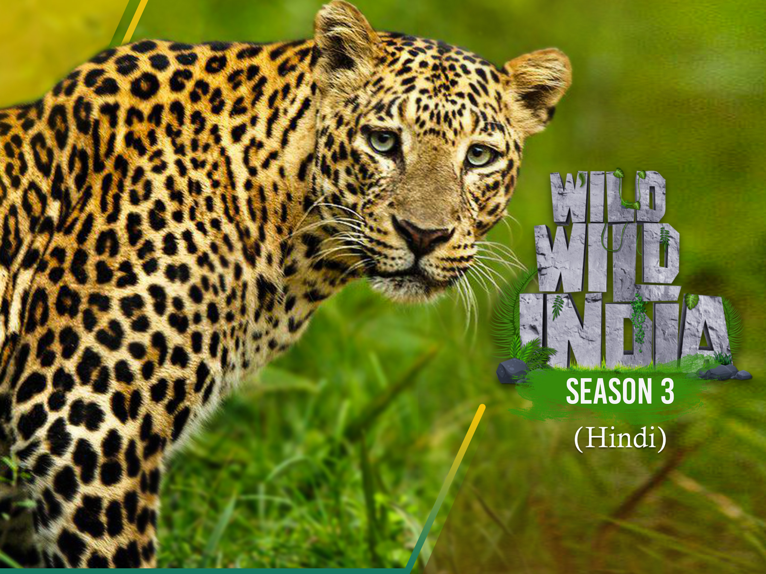 Prime Video: Wild Wild India Hindi