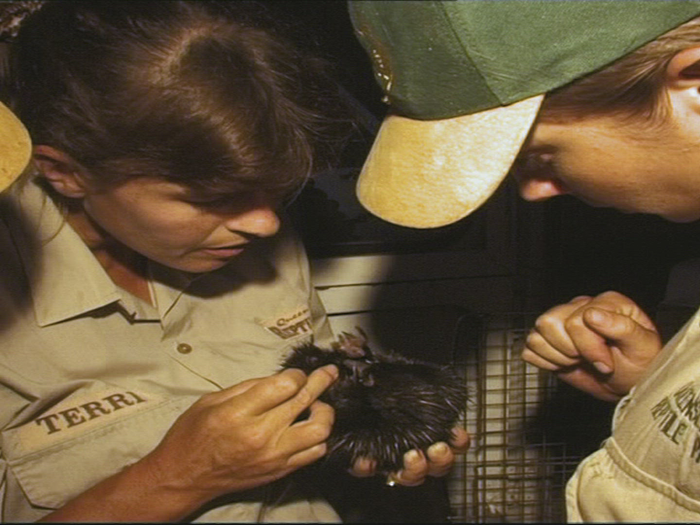 Prime Video: Crocodile Hunter Diaries - Season 1