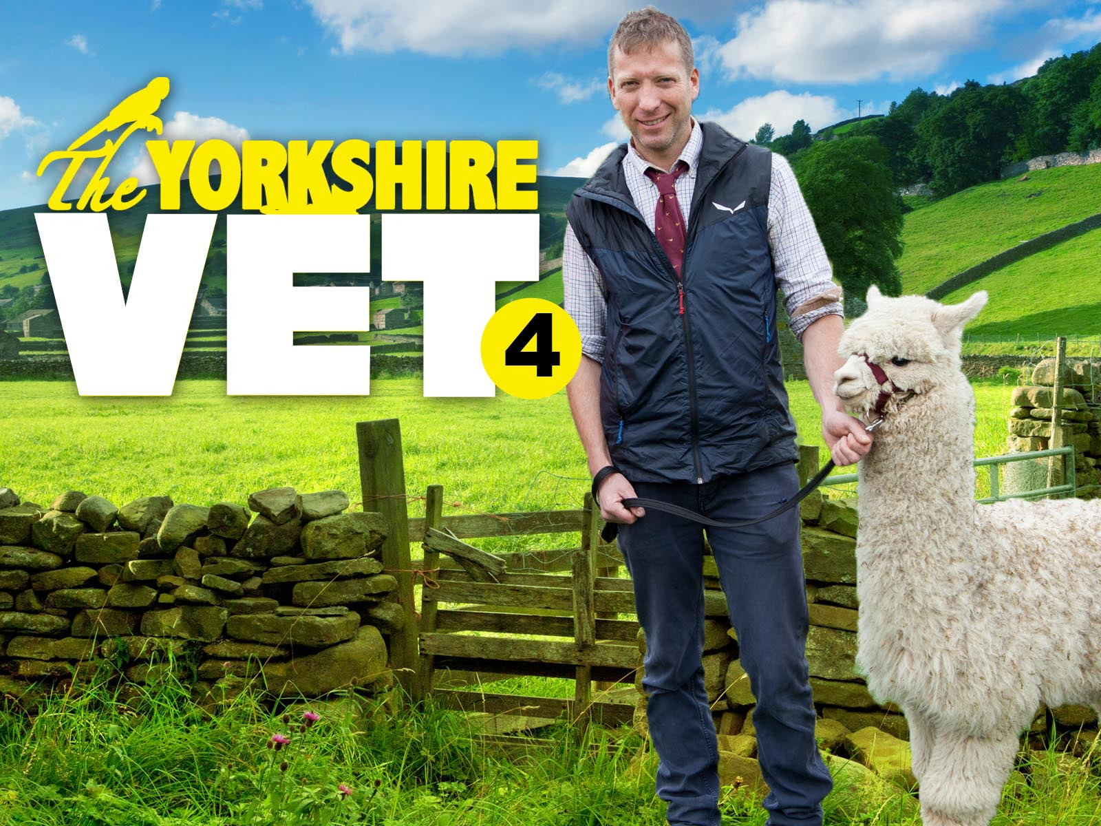 Prime Video: The Yorkshire Vet