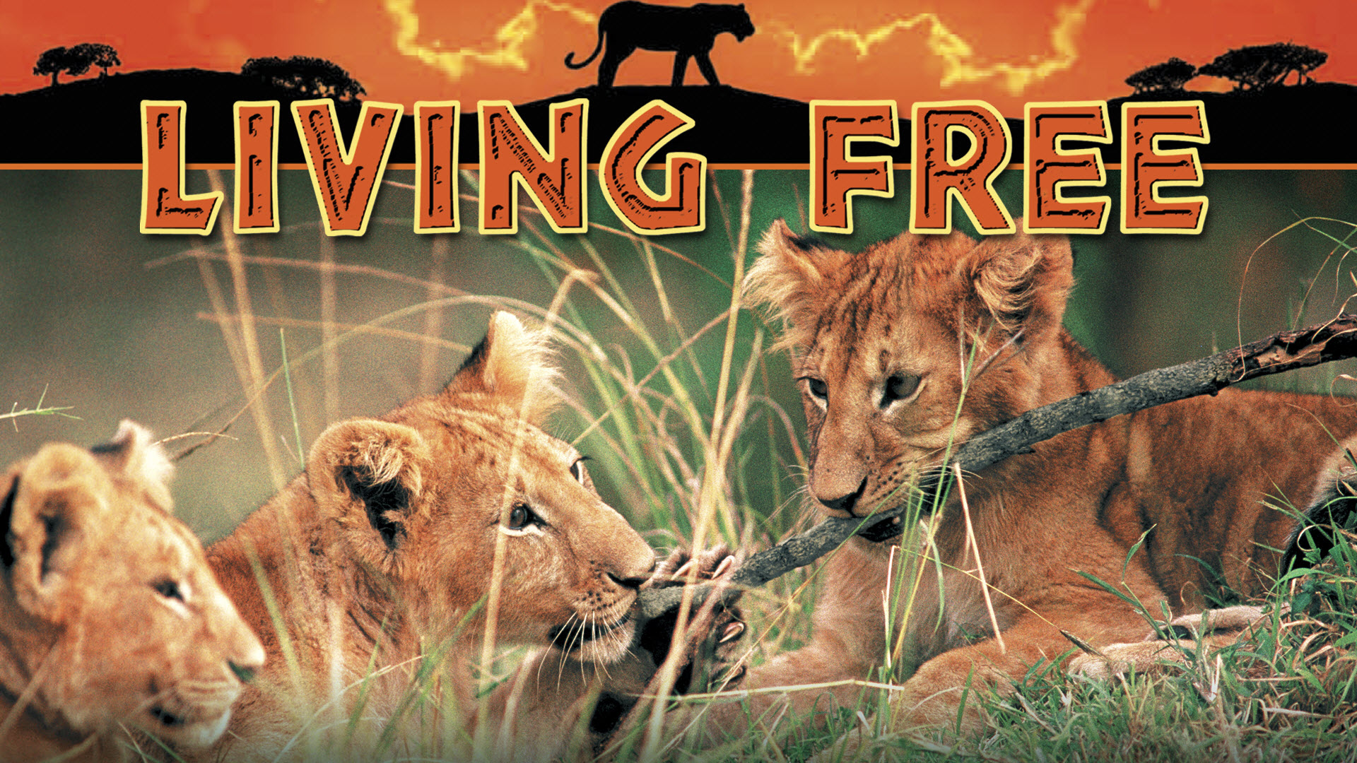 Watch Living Free | Prime Video