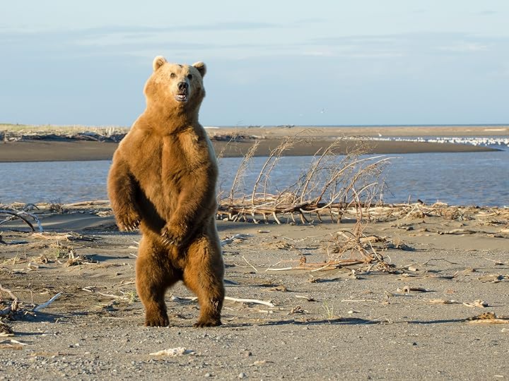 Prime Video: Round Planet - Season 1