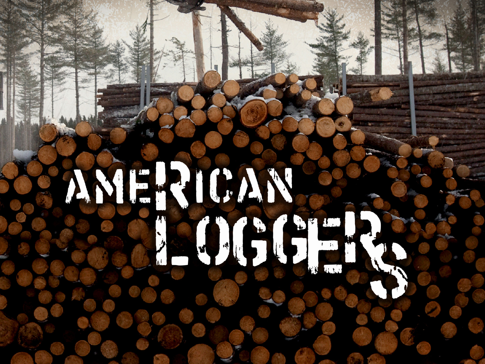 Prime Video: American Loggers - Season 3