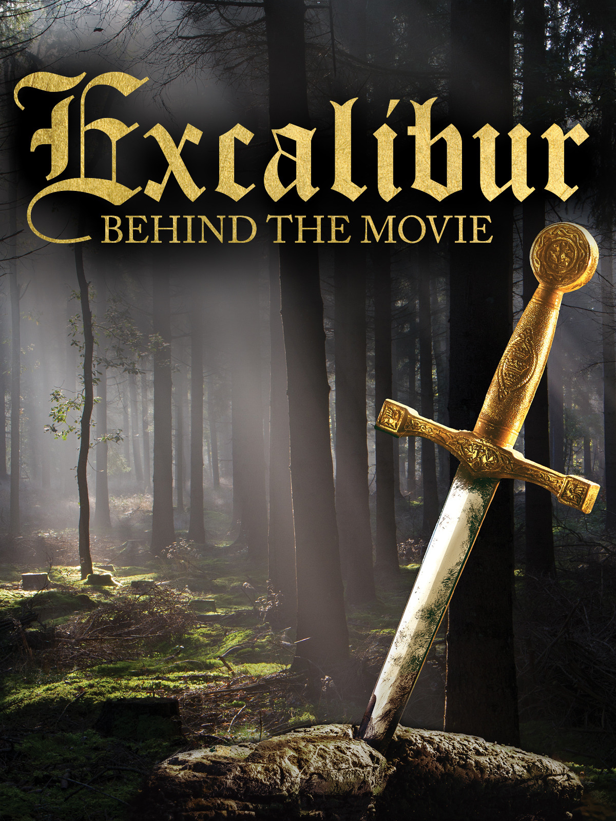 Prime Video: Excalibur: Behind the Movie