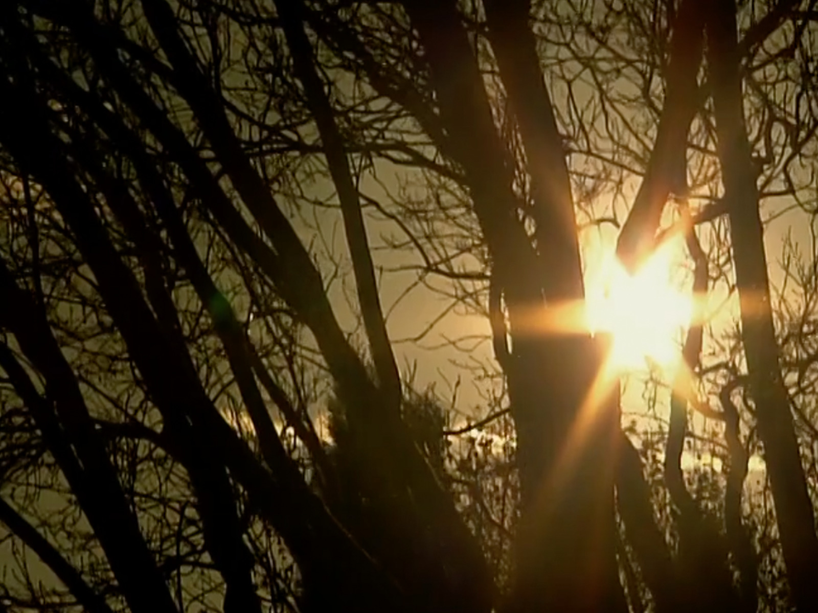 Prime Video: The X Life